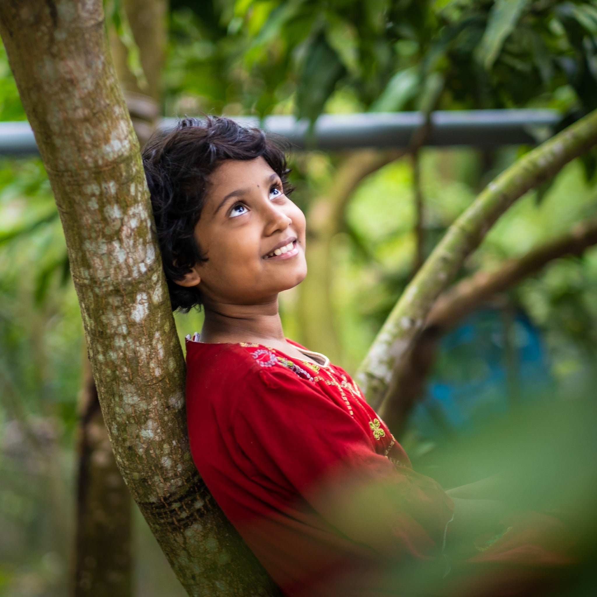 Trees for life: CAFOD virtual charity gift – CAFOD World Gifts